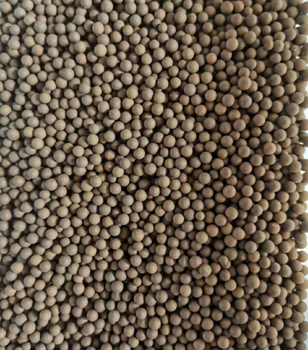Slow release nano silicon fertilizer – Nature Agrotech Co.,Ltd